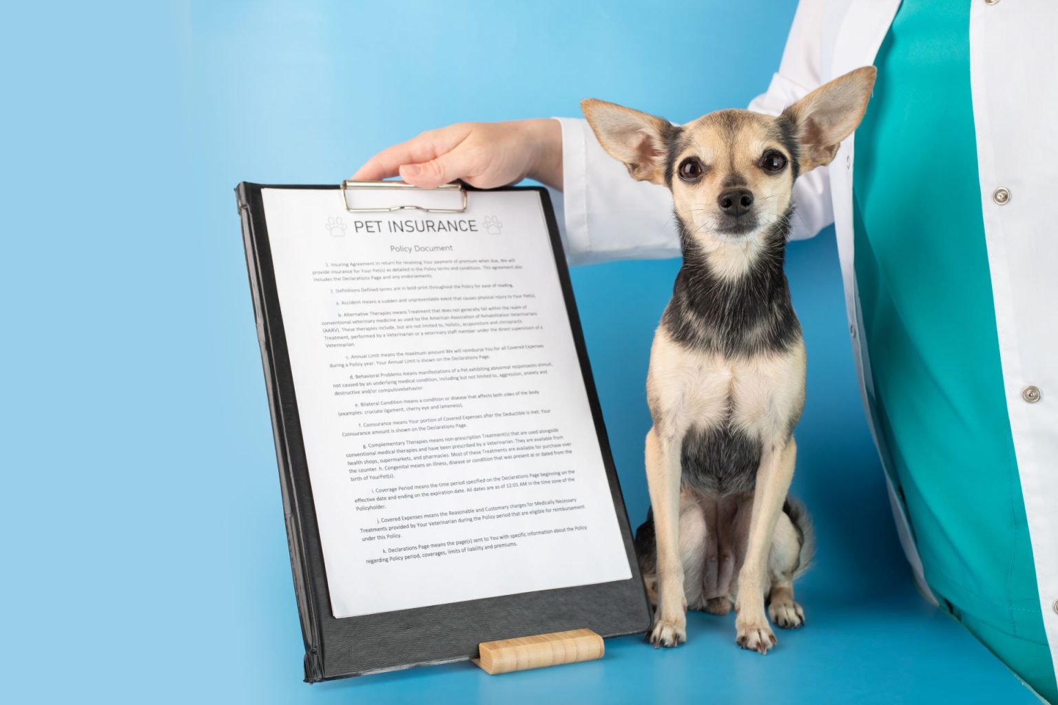 No More Vet Bill Surprises: Understanding Pet Insurance